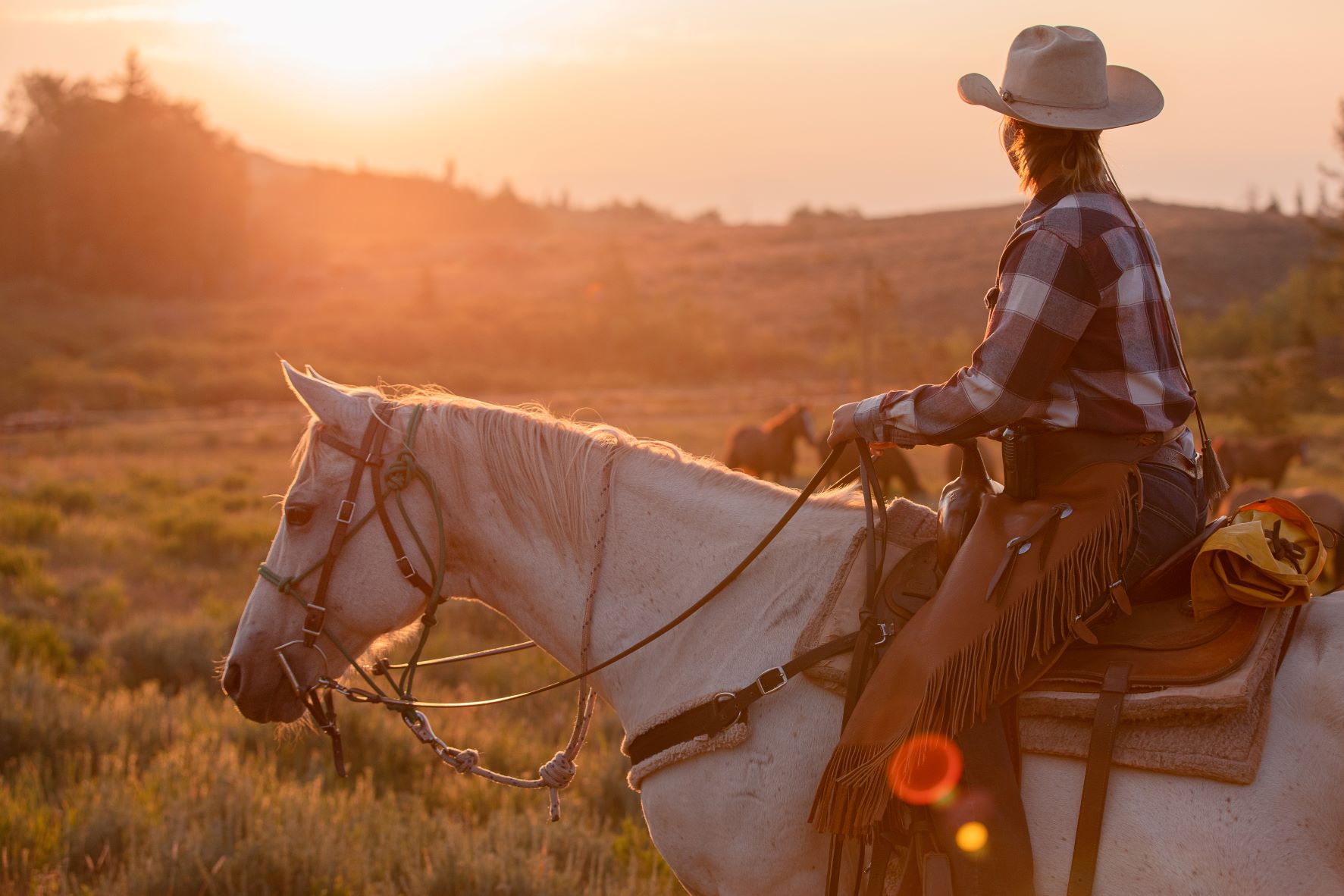 Donate – Light Rider Foundation